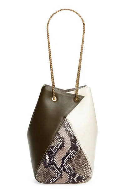 The Volon Mani Bucket Bag In White, Kaki Green And Snake Printed ...