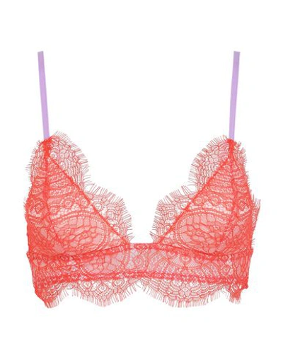 Dora Larsen Bra In Coral | ModeSens