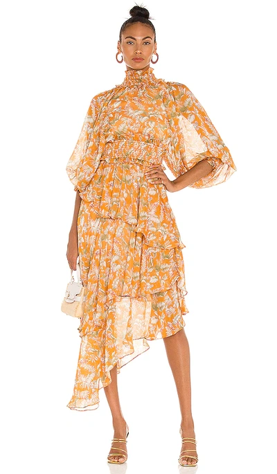 Elliatt Astrid Dress In Burnt Orange | ModeSens