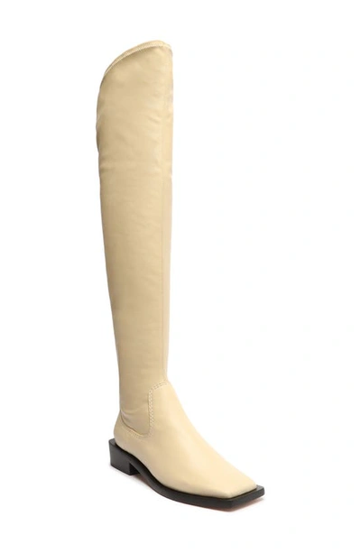 Schutz Women's Guily Up Square Toe Tall Boots In Eggshell | ModeSens