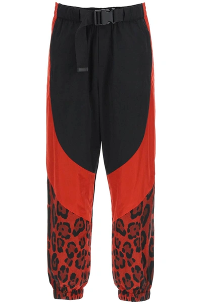 Dolce & Gabbana Leopard Print Nylon Track Pants In Red,black | ModeSens