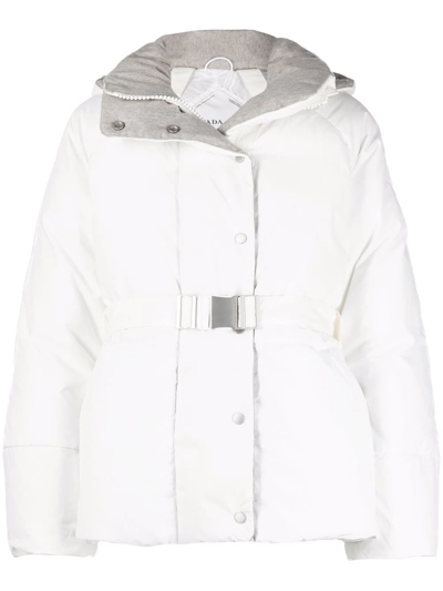 Canada Goose Belted-waist Padded Jacket In White | ModeSens