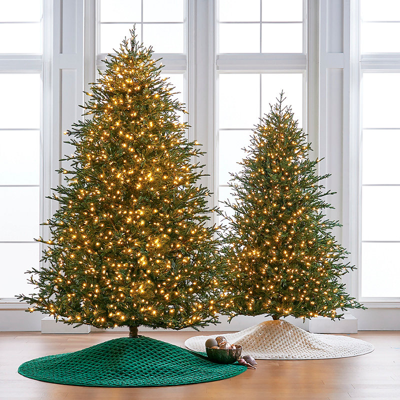 Frontgate Fraser Fir Full Profile Tree In Warm White | ModeSens