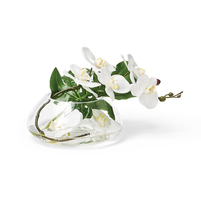 Frontgate Orchid Glass Vessel Arrangement | ModeSens