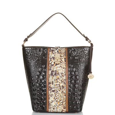 Brahmin Shira Cocoa Goldspur | ModeSens
