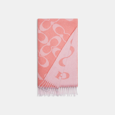 Coach Outlet Signature Oversized Muffler In Pink | ModeSens