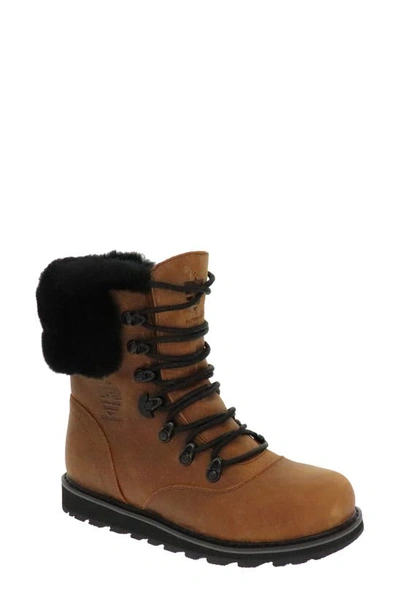 Royal Canadian Cambridge Waterproof Boot With Genuine Shearling Trim In ...