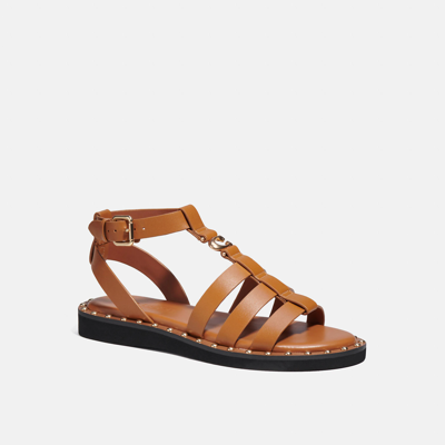 Coach Outlet Giselle Sandal In Multi | ModeSens
