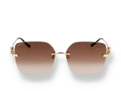 Cartier Ct0401s Sunglasses In Gold | ModeSens