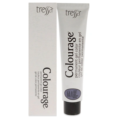 Tressa Colourage Permanent Gel Color - 6aa Light Cool Ash Brown By For ...