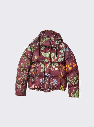 Loewe Herbarium Hooded Puffer Jacket In Purple | ModeSens