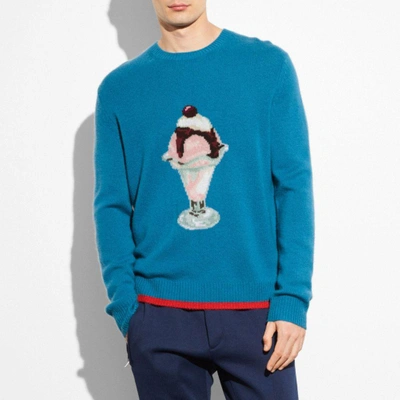 Coach Ice Cream Intarsia Cashmere Sweater In Blue | ModeSens