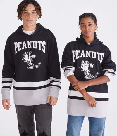 Aéropostale Peanuts Hockey Club Striped Pullover Hoodie In Multi | ModeSens