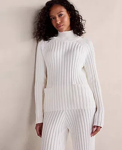 Ann Taylor Haven Well Within Organic Cotton Rib Knit Turtleneck In ...