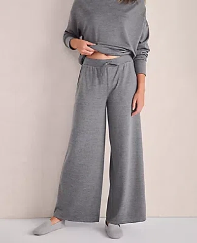 Ann Taylor Haven Well Within Sweater Knit Drawstring Wide Leg Pants In ...