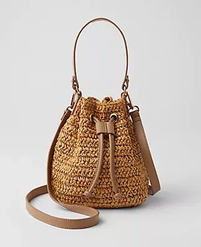 Ann Taylor Straw Bucket Bag In Natural | ModeSens