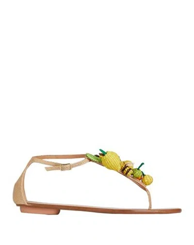 Aquazzura Citrus Punch Sandal Flat Woman Sandals Beige Size 8 Synthetic ...