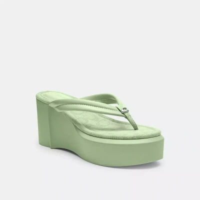 Coach Franki Flip Flop In Signature Jacquard In Pale Pistachio | ModeSens