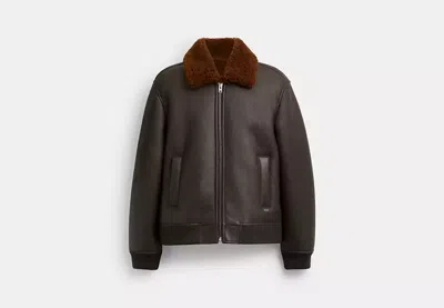 Coach Outlet Shearling Bomber In Brown | ModeSens
