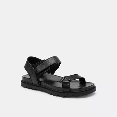 Coach Outlet Sport Sandal In Signature Canvas In Multi | ModeSens