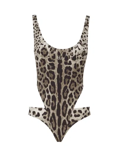 Dolce & Gabbana Leopard Print One-piece Swimsuit With Cut-out In Brown ...