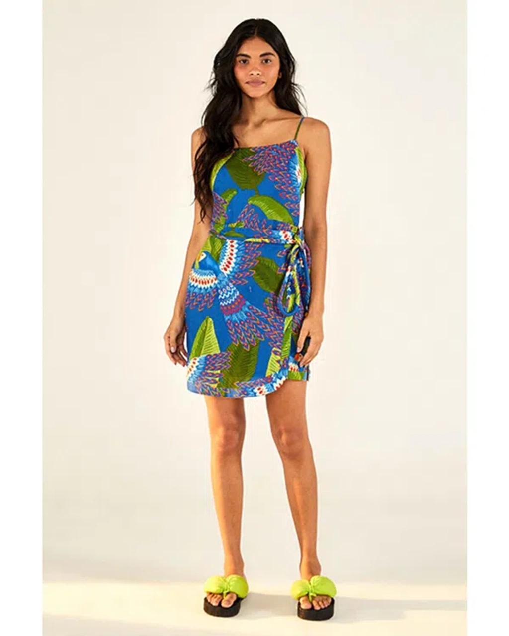Farm Rio Blue Macaw Dress