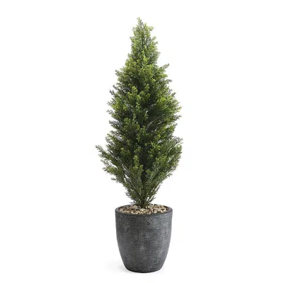 Frontgate Cedar Topiary In Black Etched Container | ModeSens