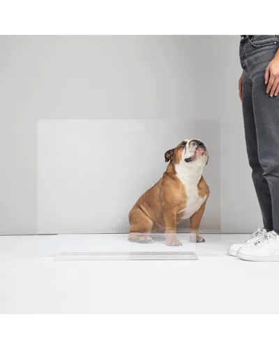 Hiddin Low 30in Pet Gate Panel In Clear | ModeSens