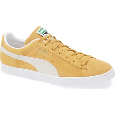Puma Suede Classic Xxi Sneaker In Honey Mustard- White | ModeSens