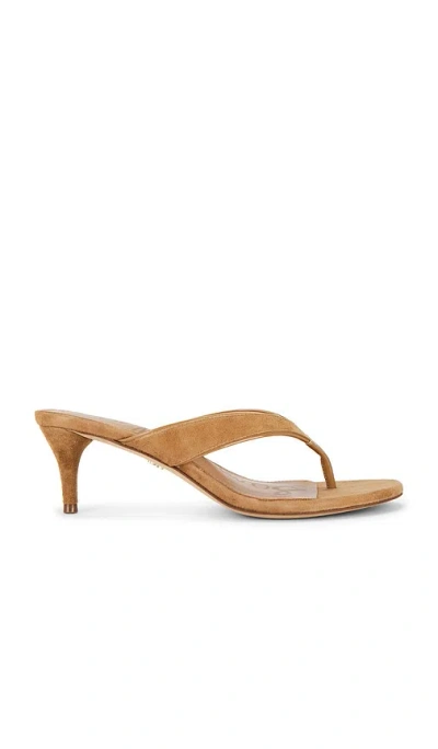 Sam Edelman Amie Heeled Thong Sandals Cyprus Tan In Brown | ModeSens