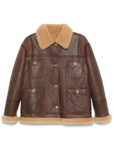 Sandro Shearling-trim Jacket In Brown | ModeSens
