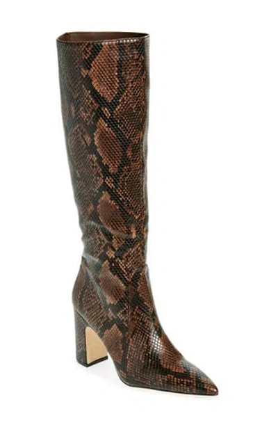 Steve Madden Evey Tall Boot In Brown Snake | ModeSens