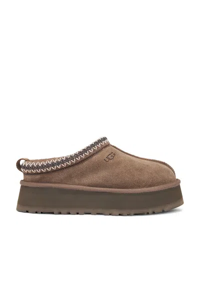 Ugg Tazz Slipper In Brown | ModeSens