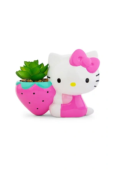 Urban Outfitters Sanrio Hello Kitty Strawberry Succulent Planter In ...