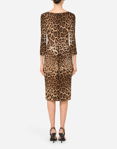 Dolce And Gabbana Leopard Print Cady Midi Dress In Multicolor Modesens