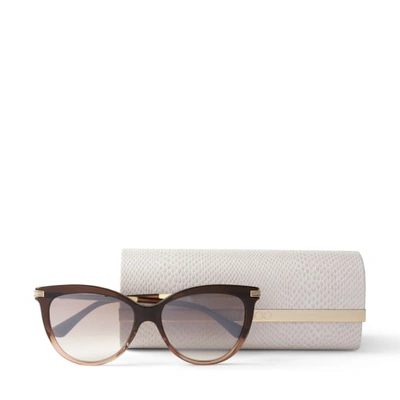 Jimmy Choo Women's Axelle Cat Eye Sunglasses, 56mm In Enq Brown Sm ...