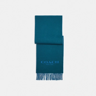 Coach Men's Signature Scarf In Multi | ModeSens
