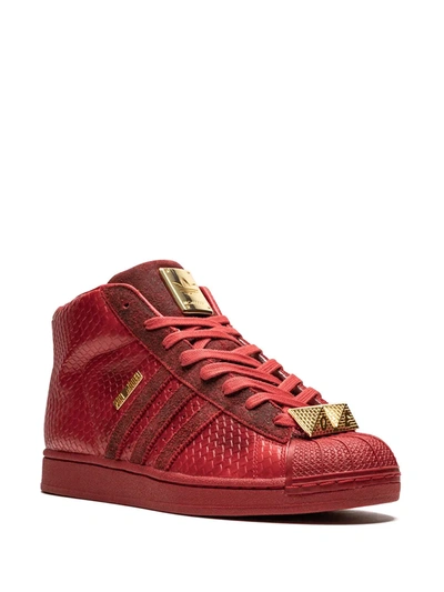 Adidas Originals Pro Model In Red | ModeSens