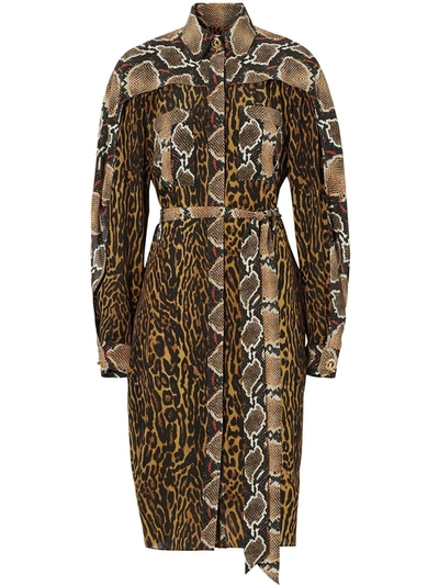 Burberry Costanza Leopard & Python Print Shirtdress In Mustard | ModeSens
