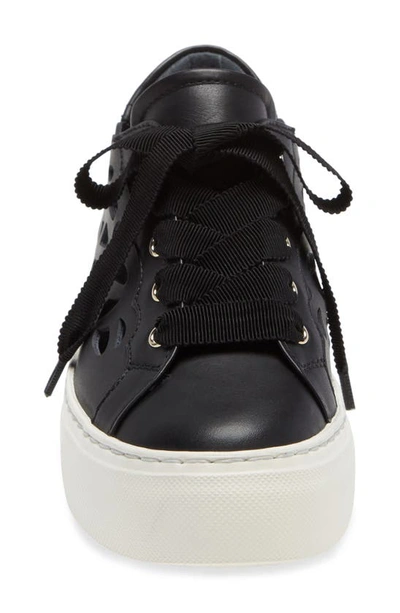 Agl Attilio Giusti Leombruni Laser-cut Leather Sneakers In Black | ModeSens