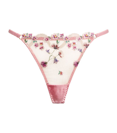 Myla Silk-blend Floral Thong In Pink | ModeSens