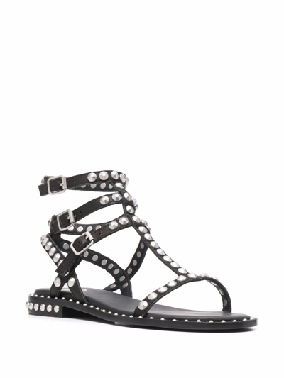 Ash Sa Crystal Stud Gladiator Sandals In Black | ModeSens