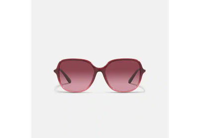Coach Round Sunglasses In Transparent Burgundy Gradient | ModeSens
