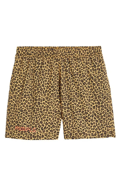 Purple Brand Leopard Print Logo Swim Shorts In Brown Leopard Swim ...