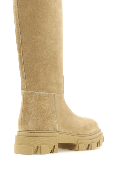 Gia Borghini Tubular Combat Boots In Suede Leather In Beige | ModeSens