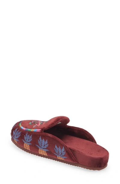 Farm Rio Burgundy Velvet Tapestry Clog Mule | ModeSens