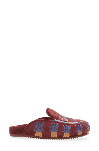 Farm Rio Burgundy Velvet Tapestry Clog Mule | ModeSens