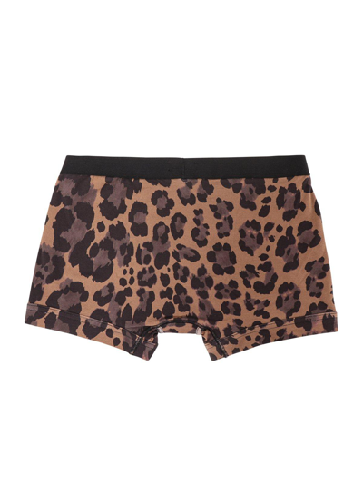Tom Ford Leopard Print Silk Blend Satin Boxer Shorts In Brown Modesens