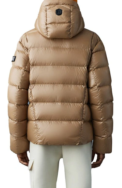 Mackage Victor Water Resistant 800 Fill Power Down Puffer Jacket In ...