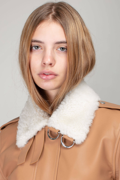 Loewe Aviator Jacket | ModeSens